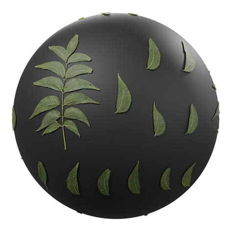 Microcementtexture Poliigon