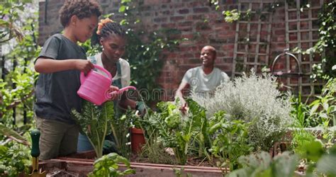 Mother Son And Plants In Backyard With Gardening For Sustainability