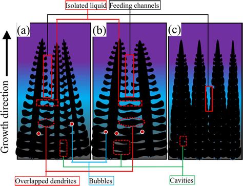 Schematic Diagram Of The Relationship Between Microstructure And