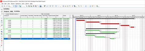 Primavera P6 Professional Multiple Float Paths