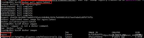 Docker服务迁移从一台服务器到另一台服务器linux 如何docker Pull一个域名跳转到另一个域名 Csdn博客
