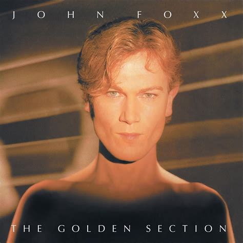 Jp The Golden Section [analog] ミュージック
