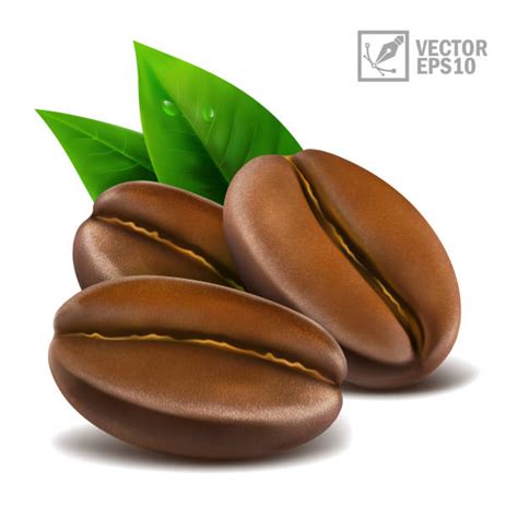 Single Coffee Bean Clipart