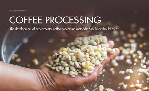 The Development Of Experimental Coffee Processing Methods Should Or Should Not