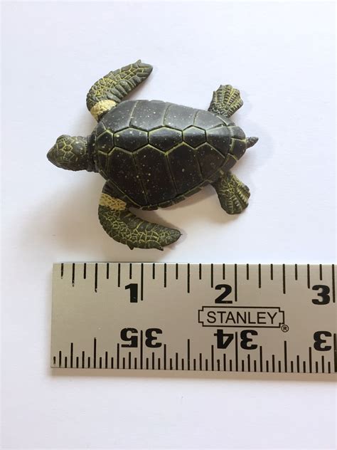 Sea Turtle Dichotomous Key Activity What If Scientific Leave Only Bubbles