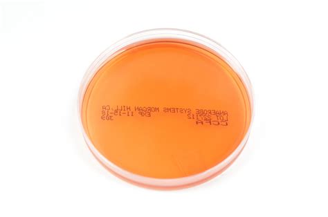 Cycloserine Cefoxitin Fructose Agar Ccfa Anaerobe Systems