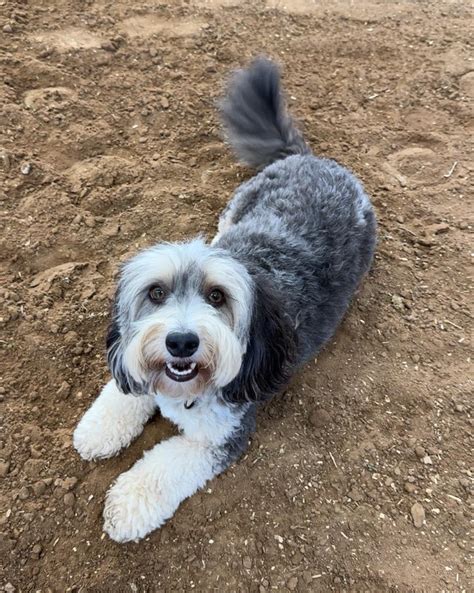 Js Doodles Js Doodles Added A New Photo