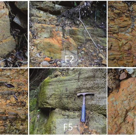 Left The Position Of The Deposition Of Molasse And Flysch Facies