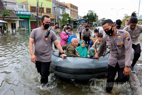 Banjir Masih Genangi Kaligawe Semarang Foto 12 1874166 TribunNews