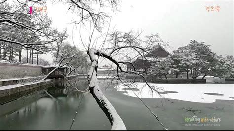 경복궁 설경 snow view Gyeongbokgung Palace YouTube