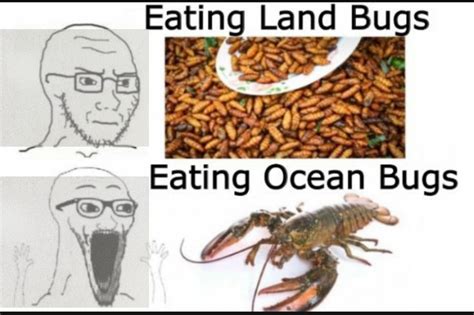 Eat The Bugs I Will Not Eat The Bugs Know Your Meme