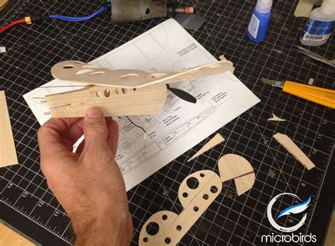 Micro Lazy Bee RC Gliders Radio Control DLG Micro Gliders Airplane