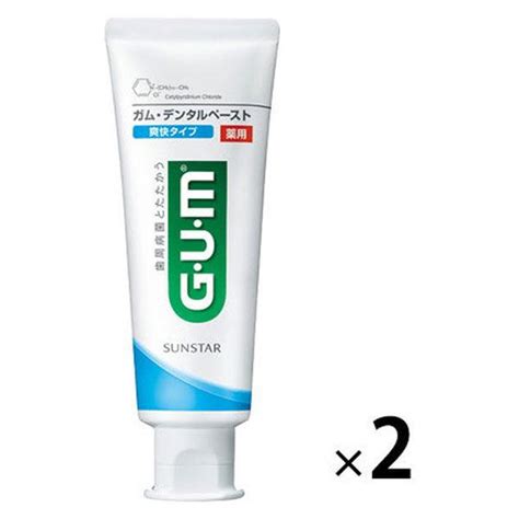 껌 덴탈 Paste 상쾌 타입 120g 1세트2개 썬스타 Gum 치약 원인균을 살균・제거치 주병예방 구취 방지 불소 충치 재팬스토어 일본약 의약품 전문 직구 쇼핑몰
