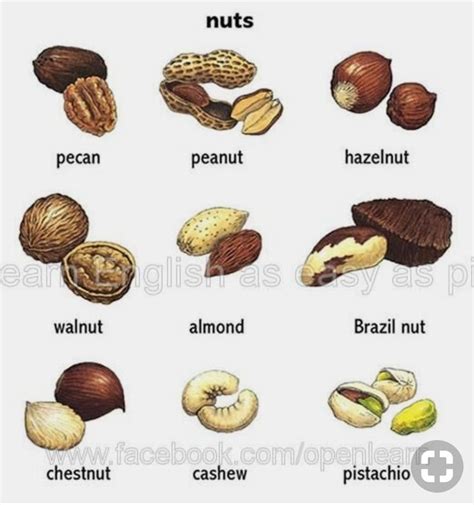 Nuez En Ingles Hot Sex Picture