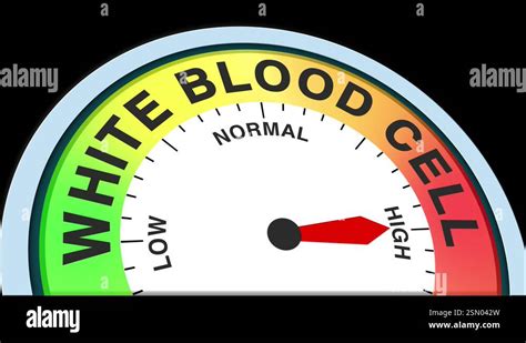 Cell Level Stock Videos And Footage Hd And 4k Video Clips Alamy