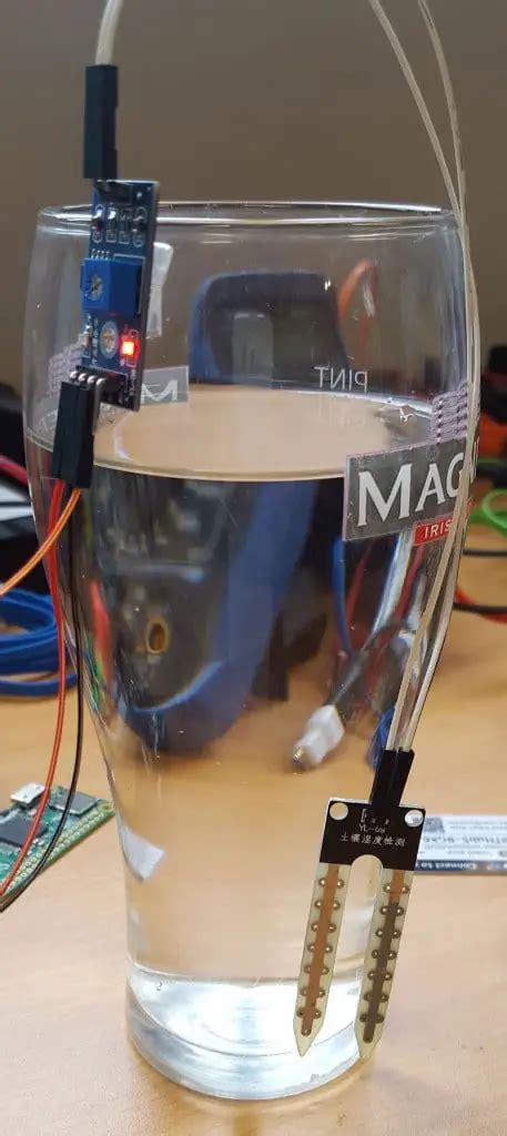 build smart garden with raspberry pi using moisture sensor