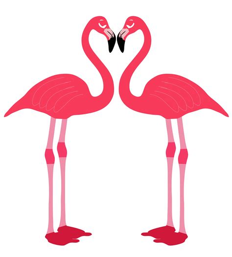 Flamingo Birds Love Heart Free Stock Photo Public Domain Pictures