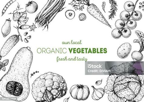 야채 손으로 그린 그림 위쪽 보기 프레임입니다 빈티지 손으로 그린 스케치 유기농 식품 포스터 좋은 영양 건강한 음식 벡터 일러스트레이션 양배추 토마토 감자 당근 마늘 사탕무