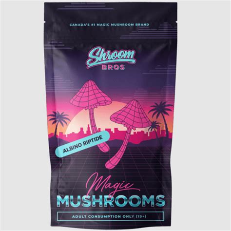 Buy Albino Riptide Mushrooms Online Shroom Bros