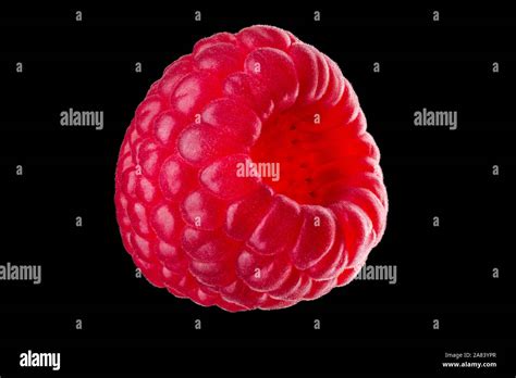Macro Photo Of Raspberry Without Leaves Isolated On Black Background