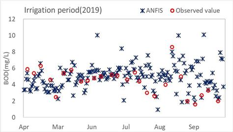 Observed Bod Values And Those Predicted By The Anfis Model Download
