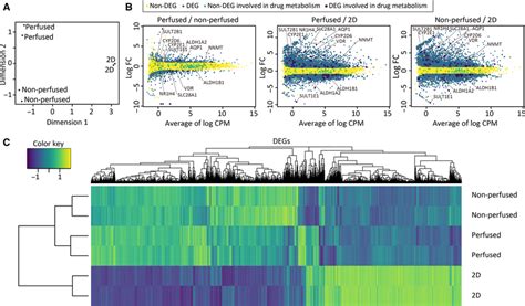 Analysis Of Gene Expression Profiles A Multidimensional Scaling Plot Download Scientific