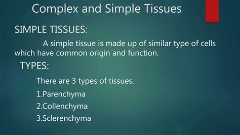 Simple And Complex Tissue Pptx