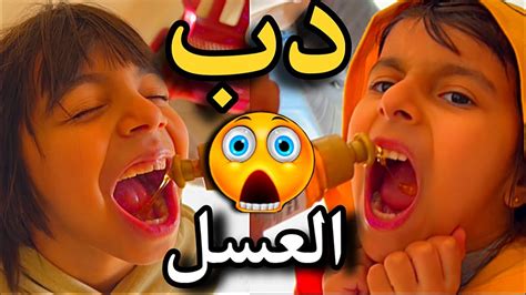 عموري جرب عسل الدب🐻🍯صدمنا ذكاءه😱😳 Youtube
