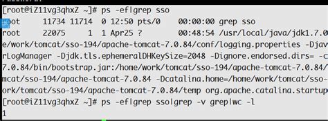 Zabbix 监控进程 海口 熟练工 博客园