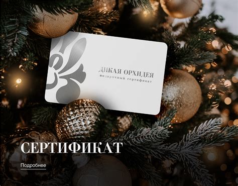 Онлайн-магазин женского белья "Дикая Орхидея"