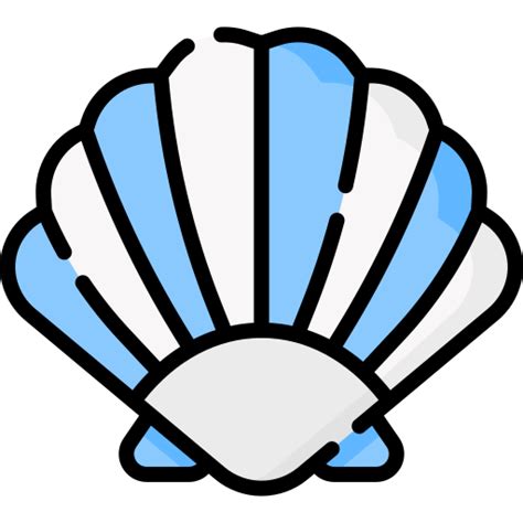 Seashell Special Lineal Color Icon