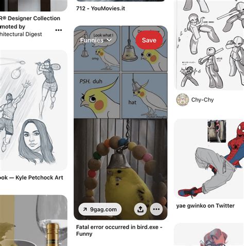 Pins Being Cropped Just To Fit In Browser Possible Glitch Rpinterest