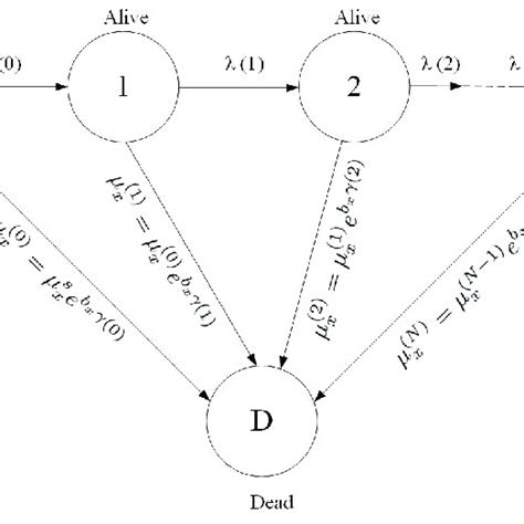 Transition Diagram For The Markov Chain Model Of Population Wide