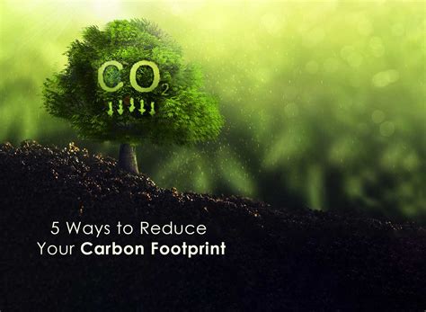 5 Ways To Reduce Your Carbon Footprint