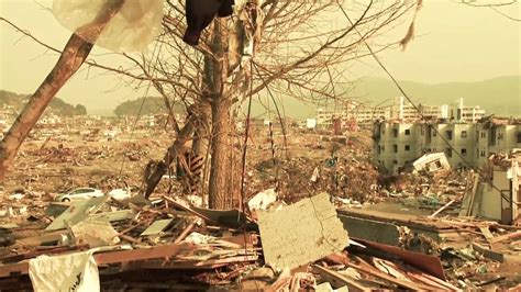 Aftermath Of Tohoku Earthquake