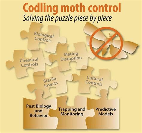 Codling Moth Control Back To Biology Good Fruit Grower