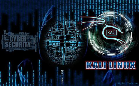 Kali Linux توزيعه اختبار الاختراق المفضلة لدى خبراء الأمن السيبراني