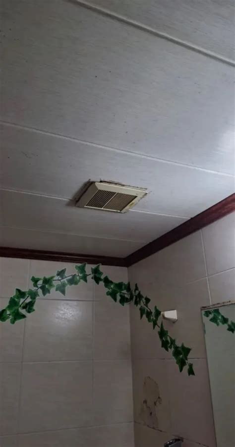 꼼꼼하게 설치 잘해주셨어요 다음에도 의뢰드리고 싶습니다 숨고 숨은고수