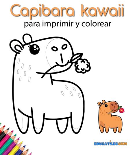 Dibujos Para Colorear De Capibara Kawaii