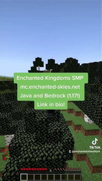 The New Elf Class Shorts Youtube