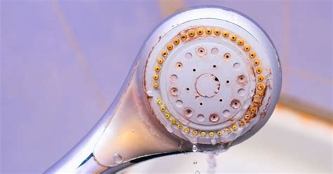 Limescale Will Vanish From Shower Heads In 15 Minutes