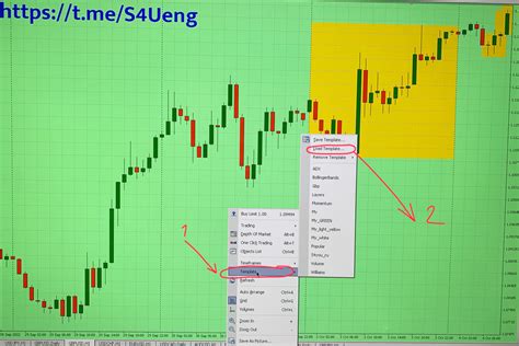 MetaTrader Template Quick Setup For This Site S Strategies