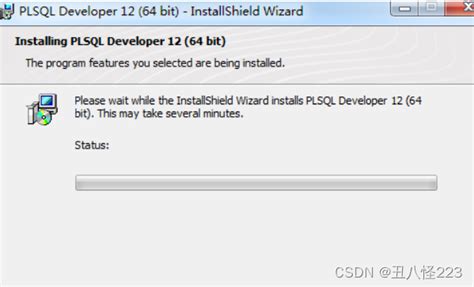 Plsql Developer下载与安装plsql Developer下载 Csdn博客