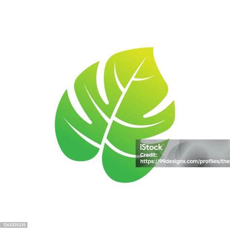 葉圖示設計向量圖摘要 葉圖示向量概念的性質 農業和農業業務綠樹葉標誌 圖示 符號和符號向量設計插圖向量圖形及更多剪裁圖圖片 Istock
