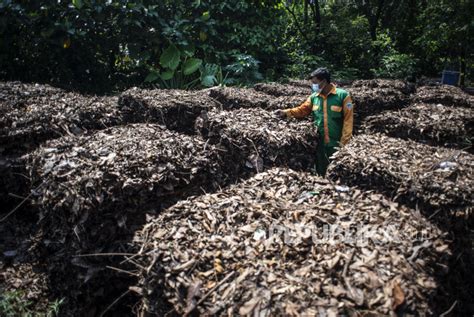 Kecamatan Pal Merah Olah Tiga Ton Sampah Jadi Pupuk Kompos Republika