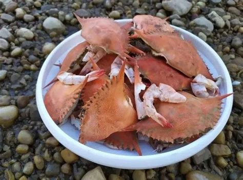 Pin Làm Từ Vỏ Cua Có Thể Tái Chế 1000 Lần