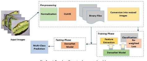 Figure From Potato Disease Detection Using Deep Learning Semantic Scholar