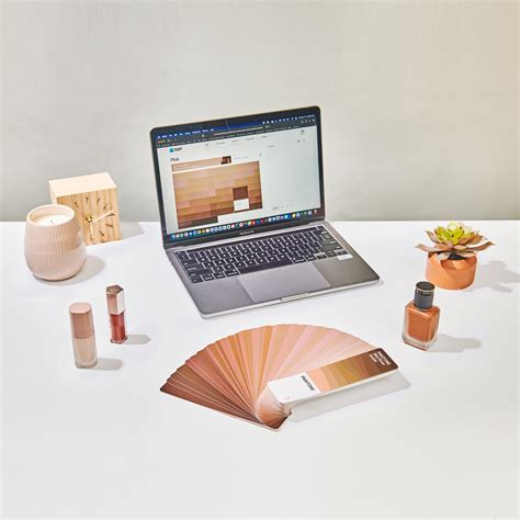 Pantone Skintone Guide Stg Verivide