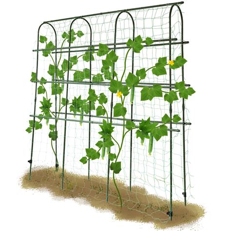 Vegetable Garden Trellis Netting At Martha Harp Blog