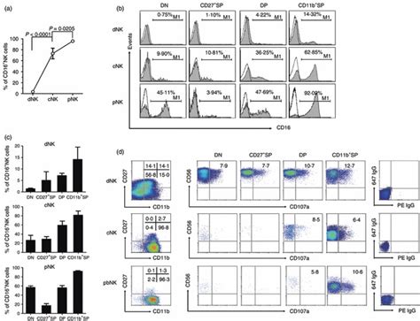 Cd11b Single Positive Natural Killer Sp Nk Cells Have The Best